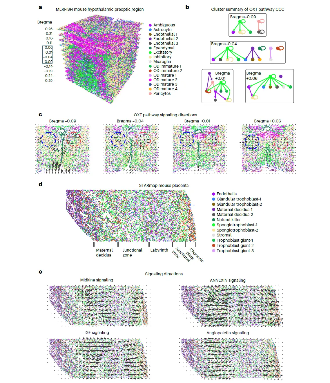 通过空间行为（optimal transport）推断空间细胞间通讯信号方向(COMMOT)_screening cell–cell communication in spatial ...