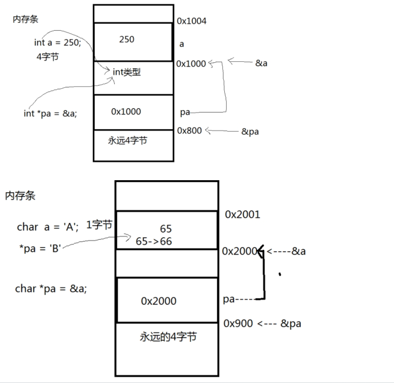 Linux-Level1-day08:变量作用域和可见性分类；指针(C灵魂)；指针和数组的那点事儿；_linux 系统变量可见性-CSDN博客