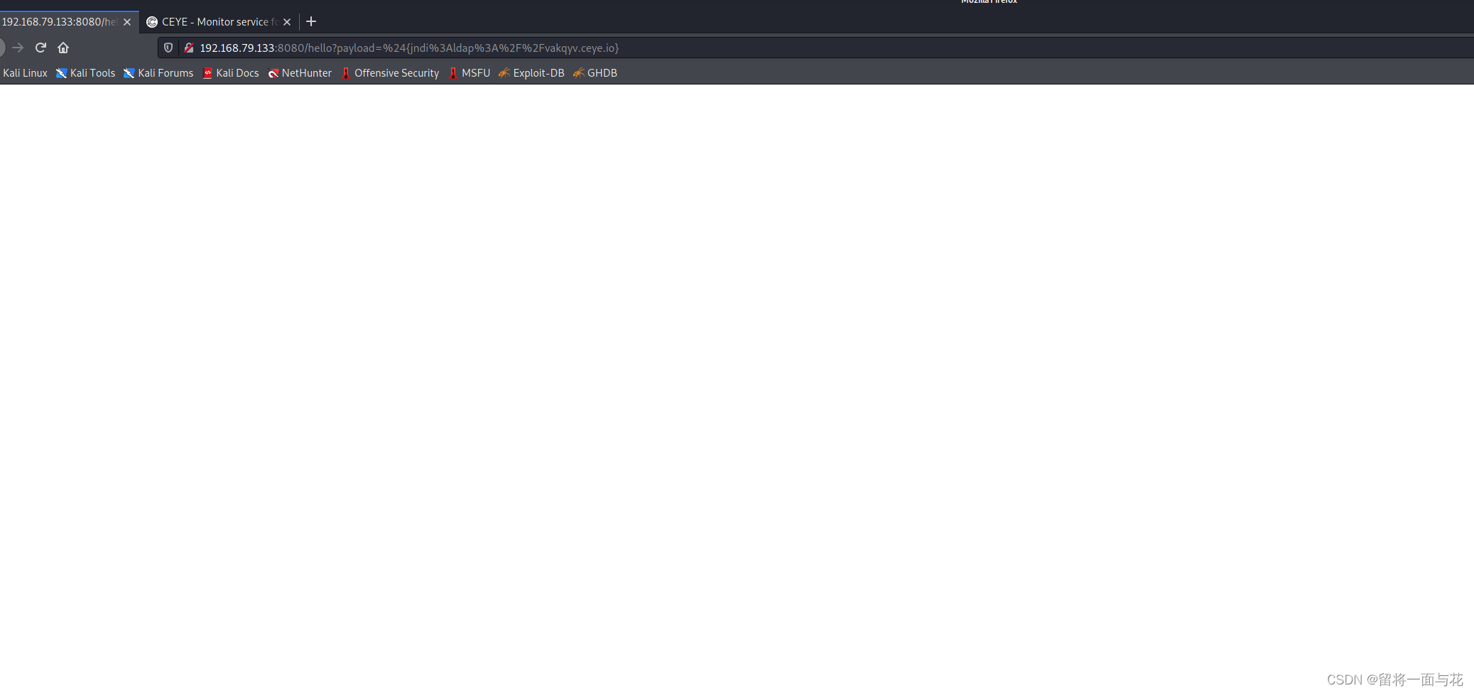 Log4j2漏洞复现java Runtime Bash 编码 Csdn博客 9165