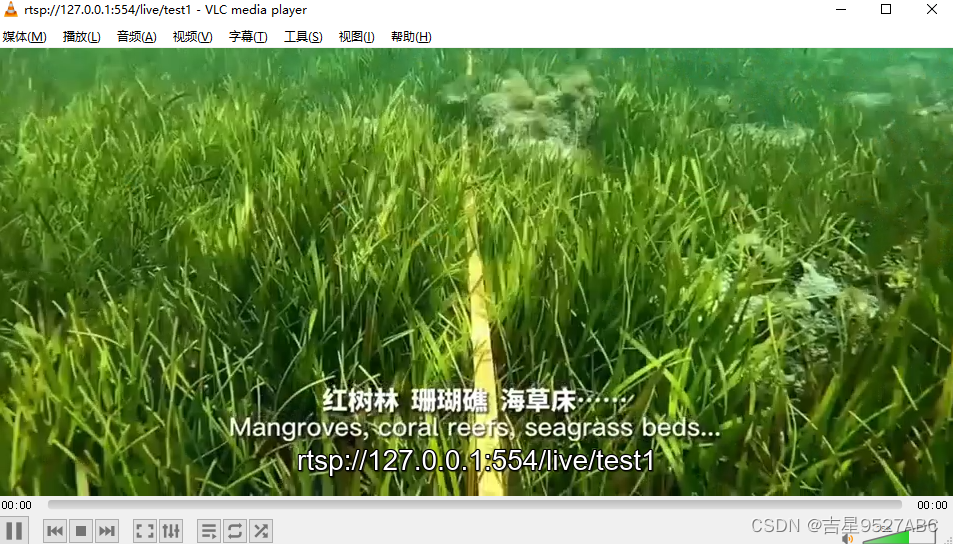 视频技术1：使用ABLMediaServer推流rtsp_视频技术1:使用ablmediaserver推流rtsp 原创-CSDN博客