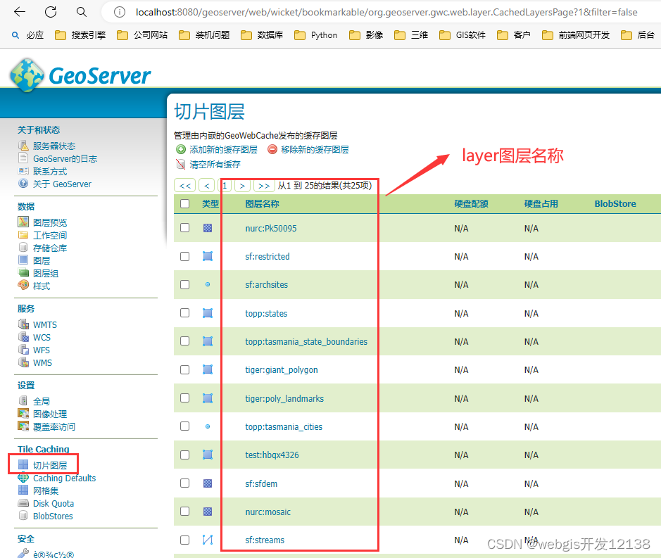 Cesium加载各种来源的wms和wmts服务_cesium wmts-CSDN博客