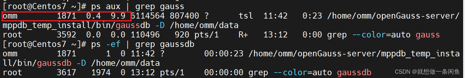 使用gdb调试openGauss5.0.0 入门篇_gdb 调试opengauss-CSDN博客