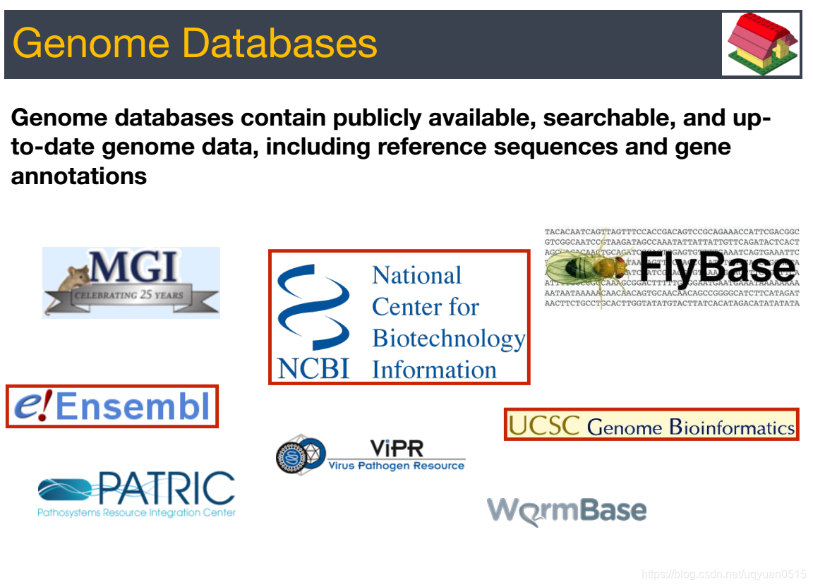 2019/07/11_NGS Data Analysis Course (Harvard Chan Bioinformatics Core)_in depth ngs data ...