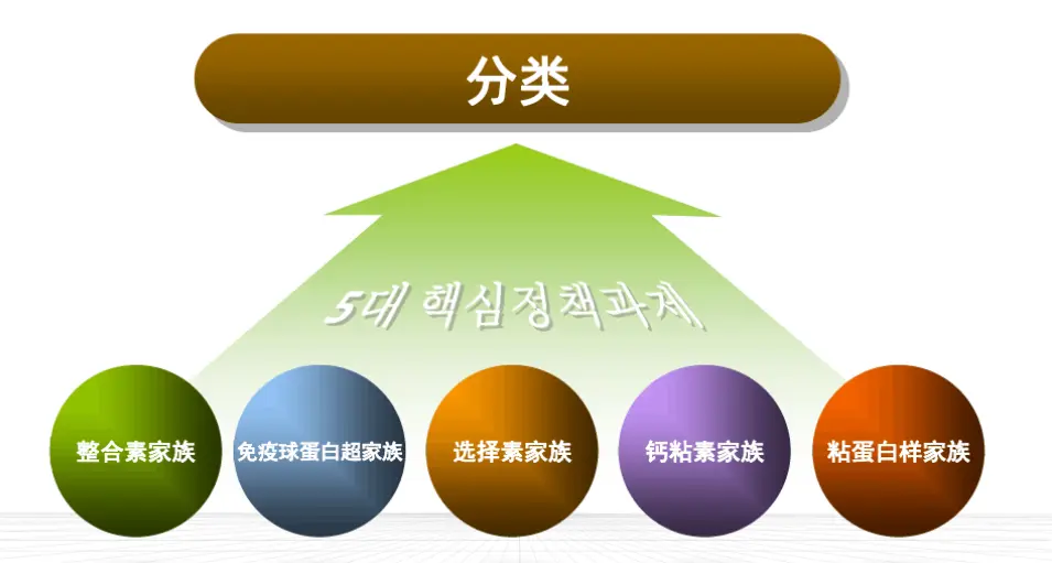 10X单细胞空间（RNA、ATAC、Spatial）联合分析剖析类风湿关节炎中炎症相关滑膜成纤维细胞的异质性及其驱动因素_expanded synovial sublining-CSDN博客