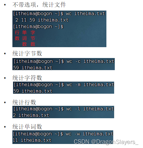Linux基础命令-2_linux find -name 模糊查询文件-CSDN博客