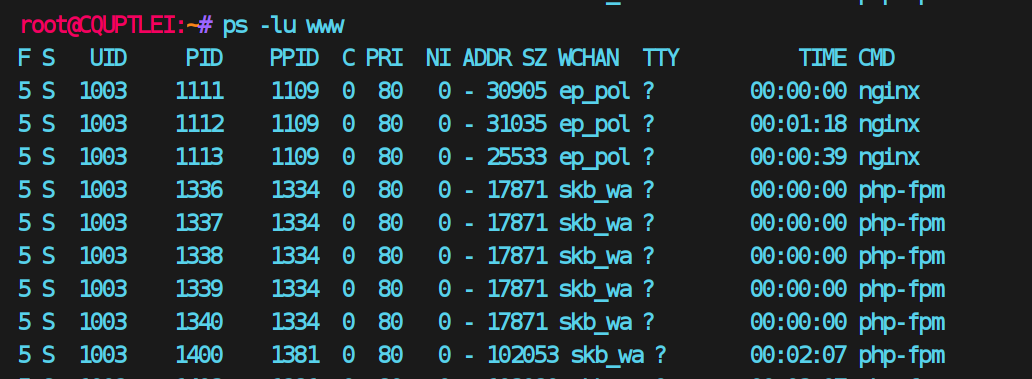 【LinuxC】进程（未完）_linux c 进程标识符-CSDN博客