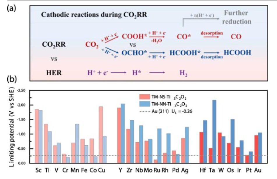 CEJ: 用于高效CO2RR的MXene基单原子催化剂_cej k点1×1×1-CSDN博客