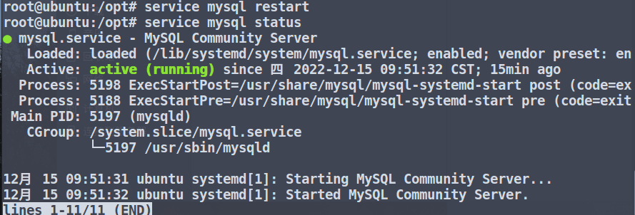 一步到位讲解ubuntu安装MySql_ubuntu mysql安装-CSDN博客
