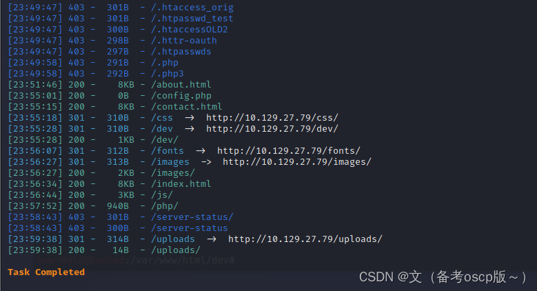 HTB打靶日记：Bashed_bashed htb-CSDN博客