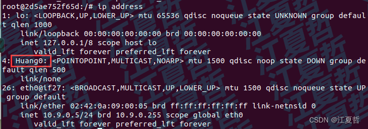 V*N Lab: The Container Version_v*n lab: the container version(seed labs)-CSDN博客