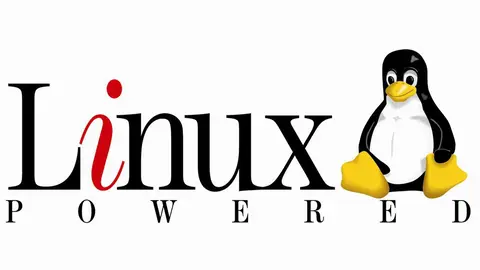 dd 命令 – 拷贝及转换文件_dd拷贝文件-CSDN博客