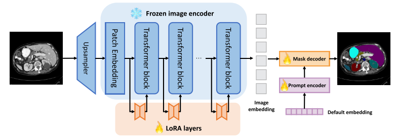 【论文阅读笔记】Customized Segment Anything Model for Medical Image ...