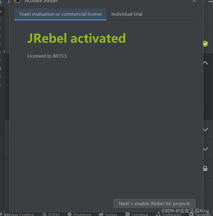 SpringBoot热部署JRebel(包会)-CSDN博客