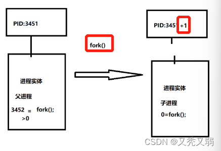 【Linux】文件描述符&先打开open文件再fork&先fork再open_fork 文件描述符-CSDN博客