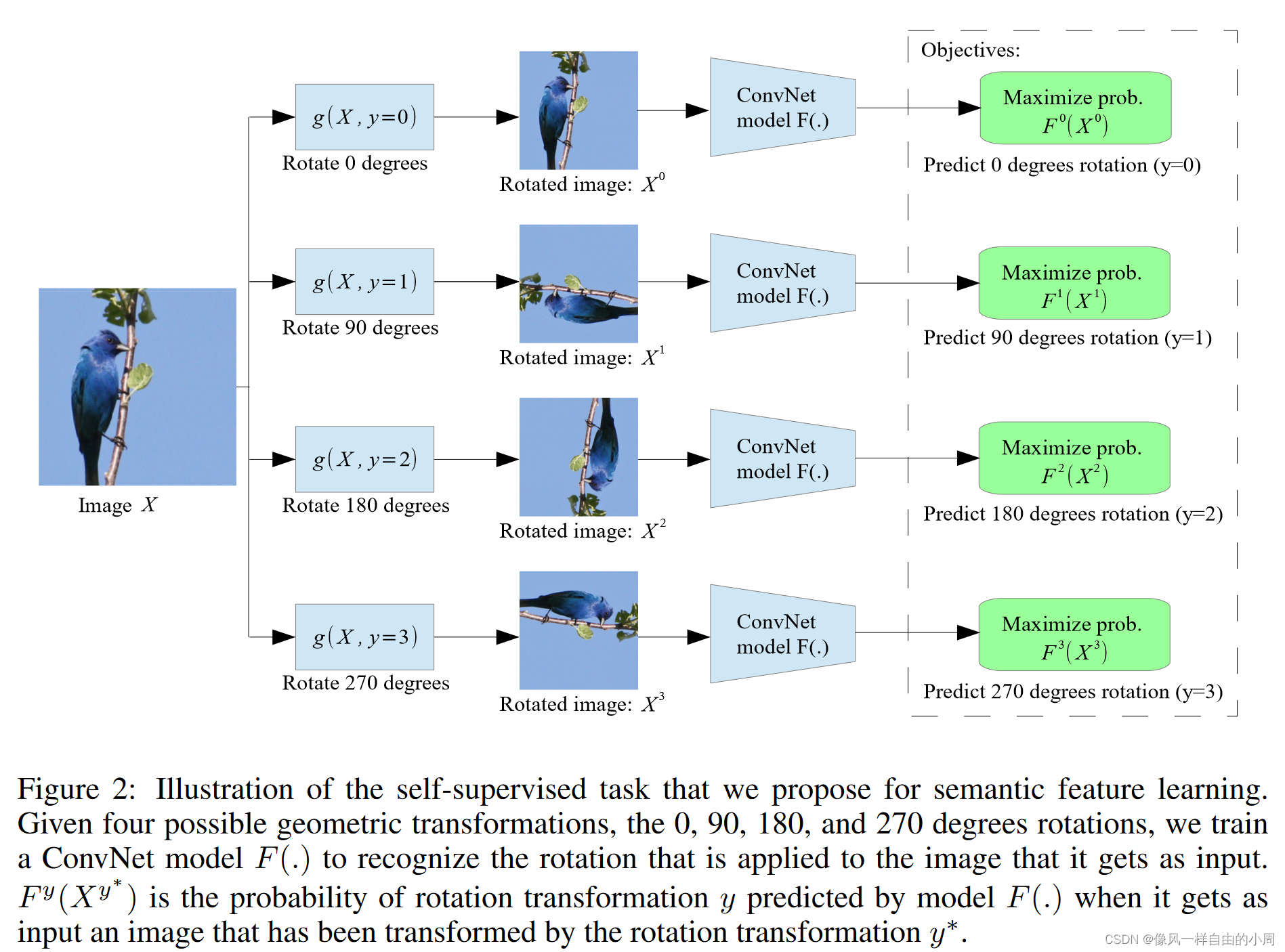 自监督学习UNSUPERVISED REPRESENTATION LEARNING BY PREDICTING IMAGE ROTATIONS论文笔记-CSDN博客