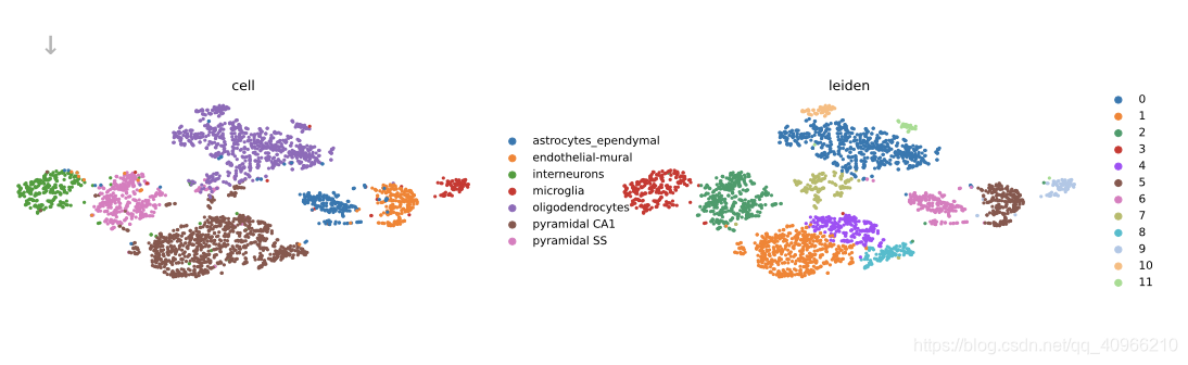 (单细胞-SingleCell）单细胞SCCAF自动化聚类_sccaf指标单细胞分析r语言-CSDN博客