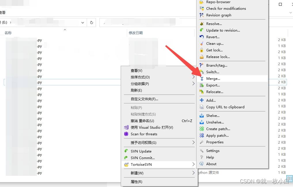 Svn学习笔记 如何 Merge 分支?保姆级教学,带图片手把手实操。svn Merge 如何使用 Csdn博客