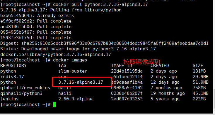 使用docker搭建python环境docker Python Csdn博客 0967