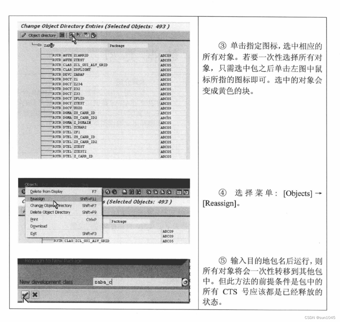 第1章 包与变更传输系统（CTS）_abap cts-CSDN博客