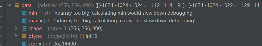 医学图像笔记（三）NIFTI数据格式-CSDN博客
