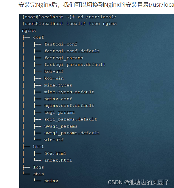Linux中安装并且配置Nginx_ng 怎么部署设置-CSDN博客