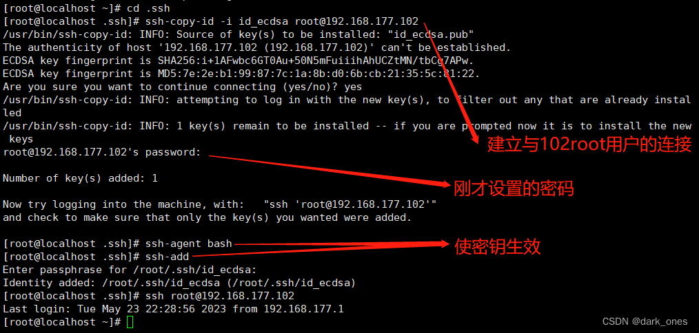 Linux-3 DNS解析 ssh_ssh dns-CSDN博客