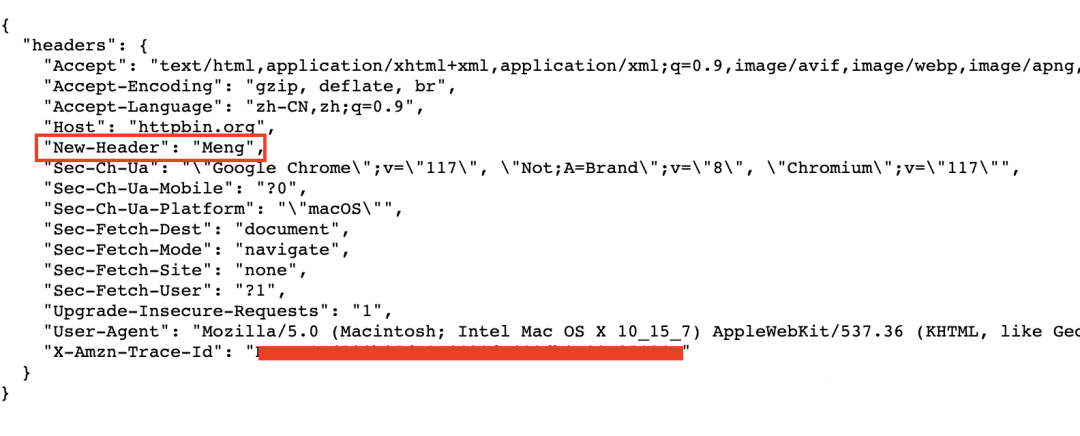Selenium Wire - 扩展 Selenium 能够检查浏览器发出的请求和响应-CSDN博客