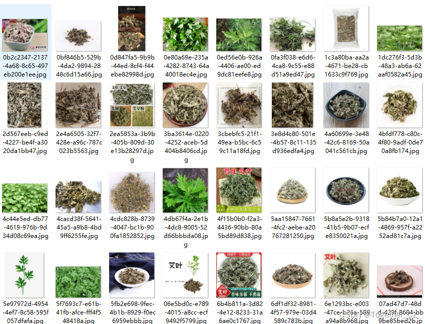 看图识药,python开发实现基于visiontransformer的119种中草药图像识别系统python图片识别系统 Csdn博客