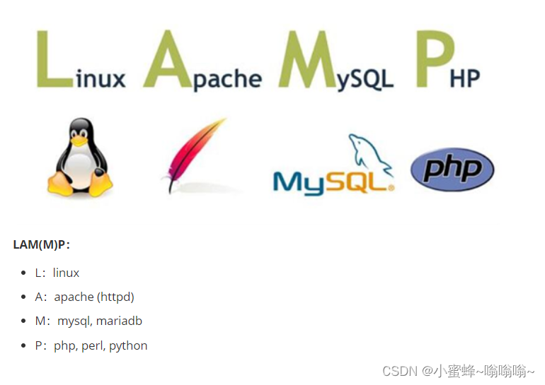 LAMP配置与应用-CSDN博客