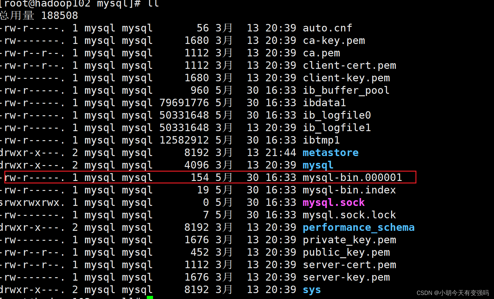 Flink-CDC实践（含实操步骤与截图）_flink cdc 实践-CSDN博客