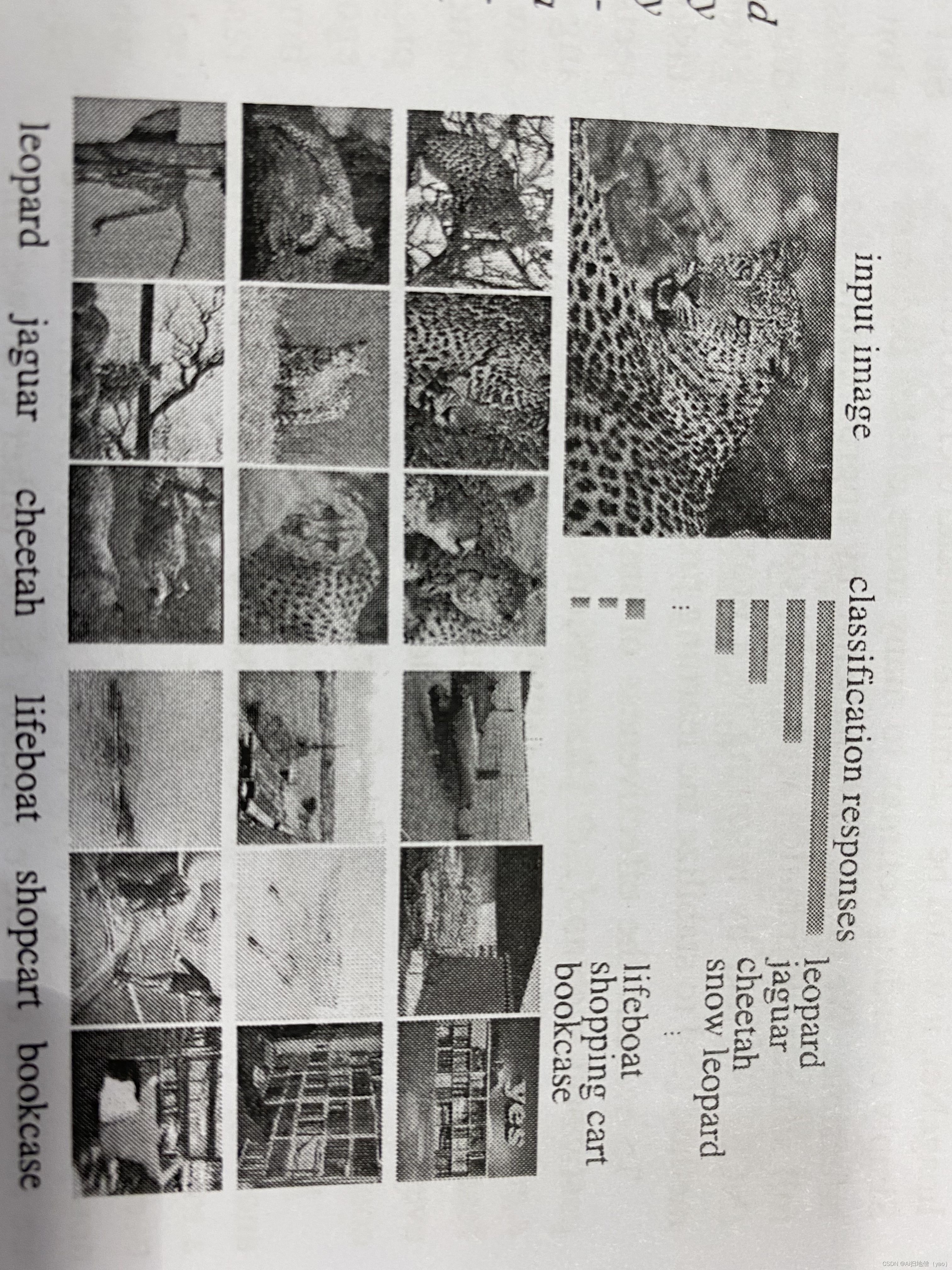 对比学习里程碑：InstDisc——无监督特征学习-CSDN博客