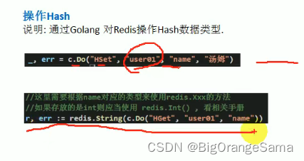 go学习part21 Redis和Go（2）_redigo hget-CSDN博客