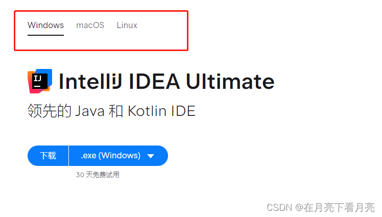 IntelliJ IDEA开发工具的下载与安装_ider下载-CSDN博客