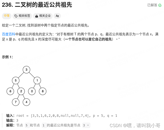 定个小目标之刷LeetCode热题（2）-CSDN博客