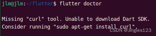 Ubuntu下，Flutter安装及在VScode中的配置_ubuntu flutter-CSDN博客