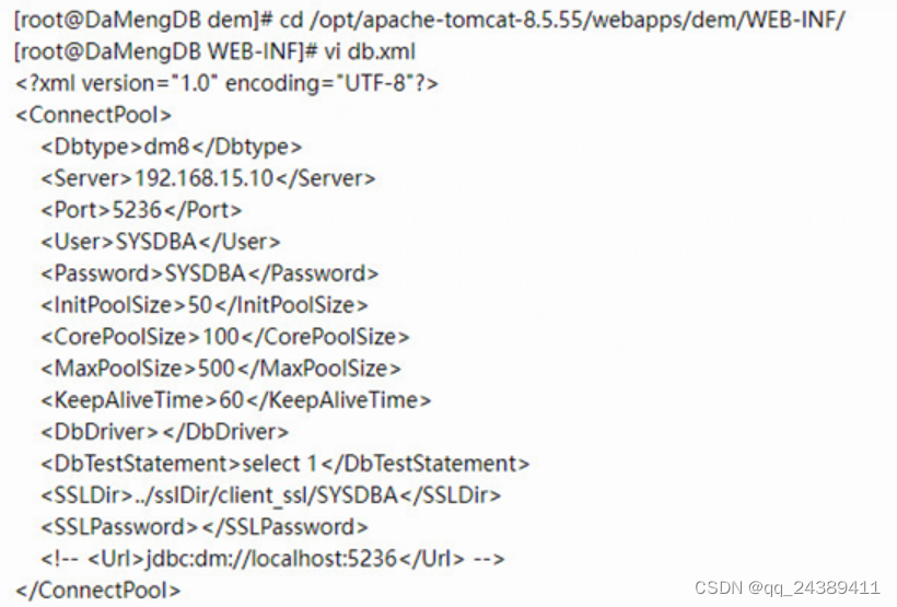 DM DEM部署-CSDN博客