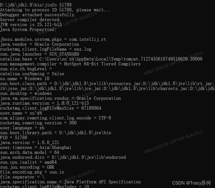 JVM常见命令之jinfo_jfino指令-CSDN博客