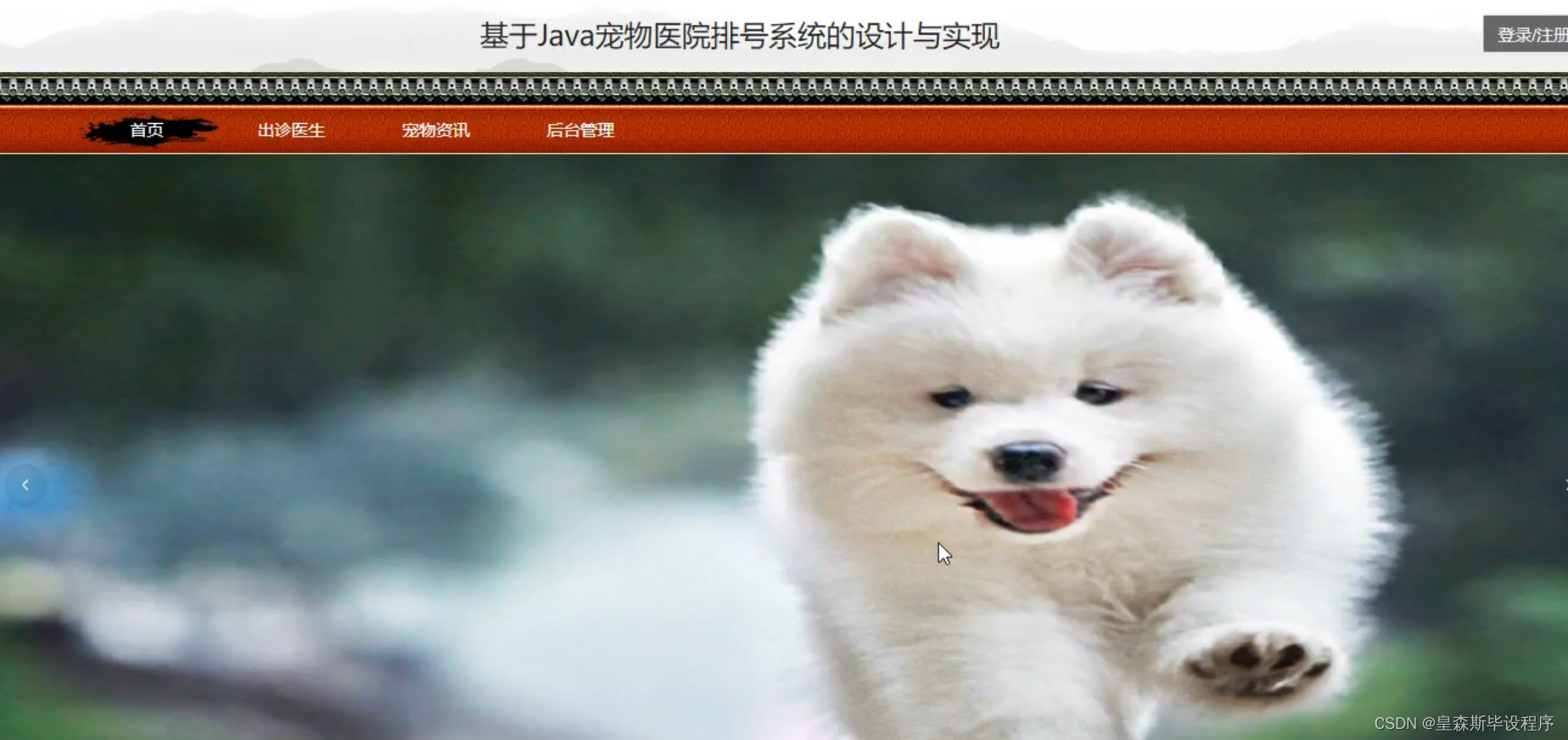 【附源码】django计算机毕业设计宠物医院排号系统的设计与实现源码mysql论文django后端实现排队任务 Csdn博客
