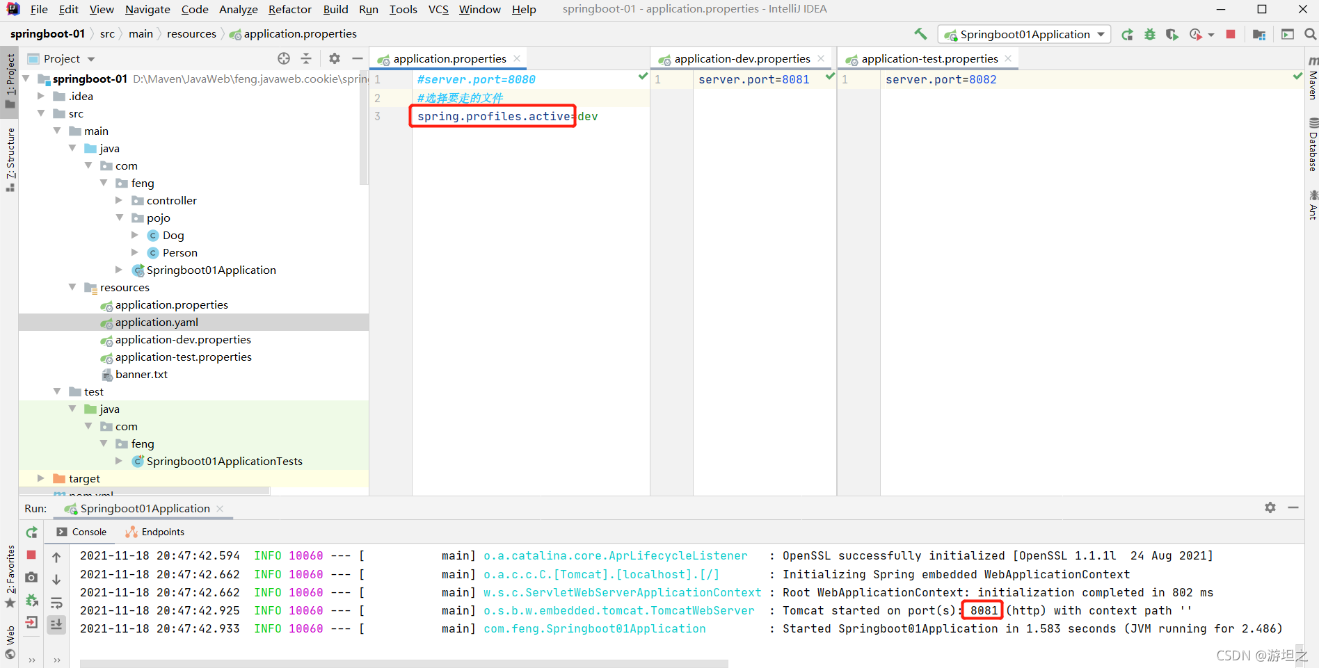 【SpringBoot】 松散绑定、JSR303、多种环境切换_jsr303 命名-CSDN博客