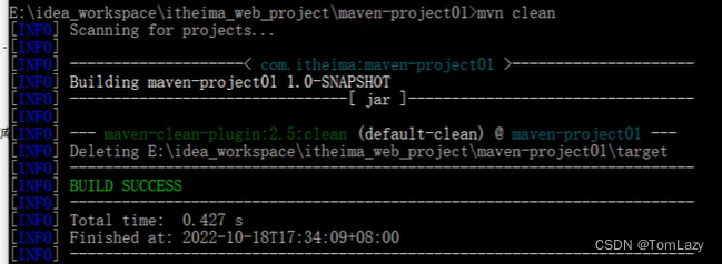 【Java Web】004 -- Maven & SpringBootWeb入门_springboot web maven-CSDN博客