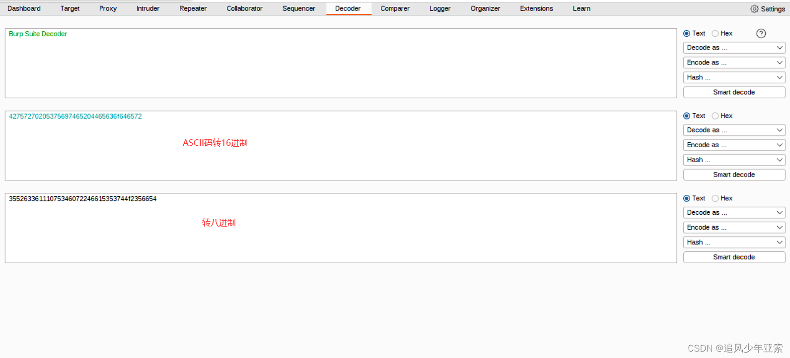 【THM】Burp Suite：Other Modules（其他模块）-初级渗透测试_burp suite: other modules-CSDN博客