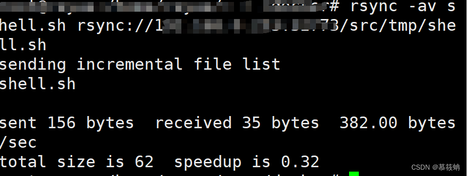 rsync未授权访问-CSDN博客