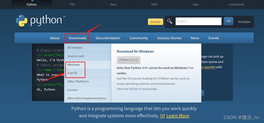Python环境安装教程_download windows embeddable package-CSDN博客