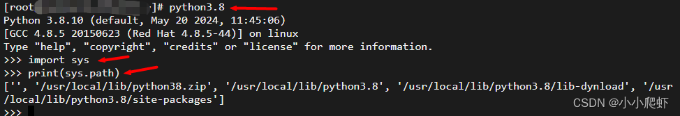 centos下安装python3.8.10_centos安装python3.8.10-CSDN博客