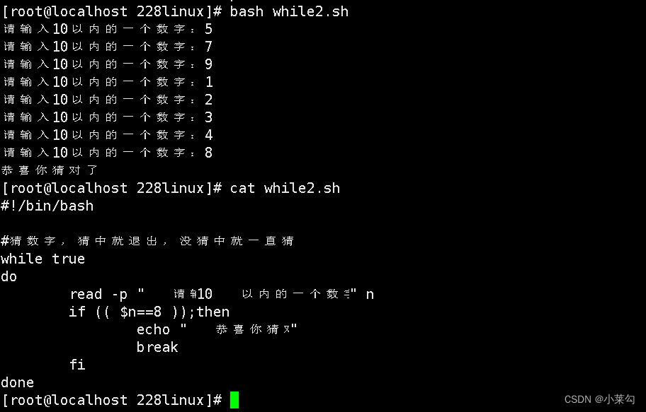 Shell编程基础：变量管理、数据类型、算术运算与流程控制,-CSDN博客