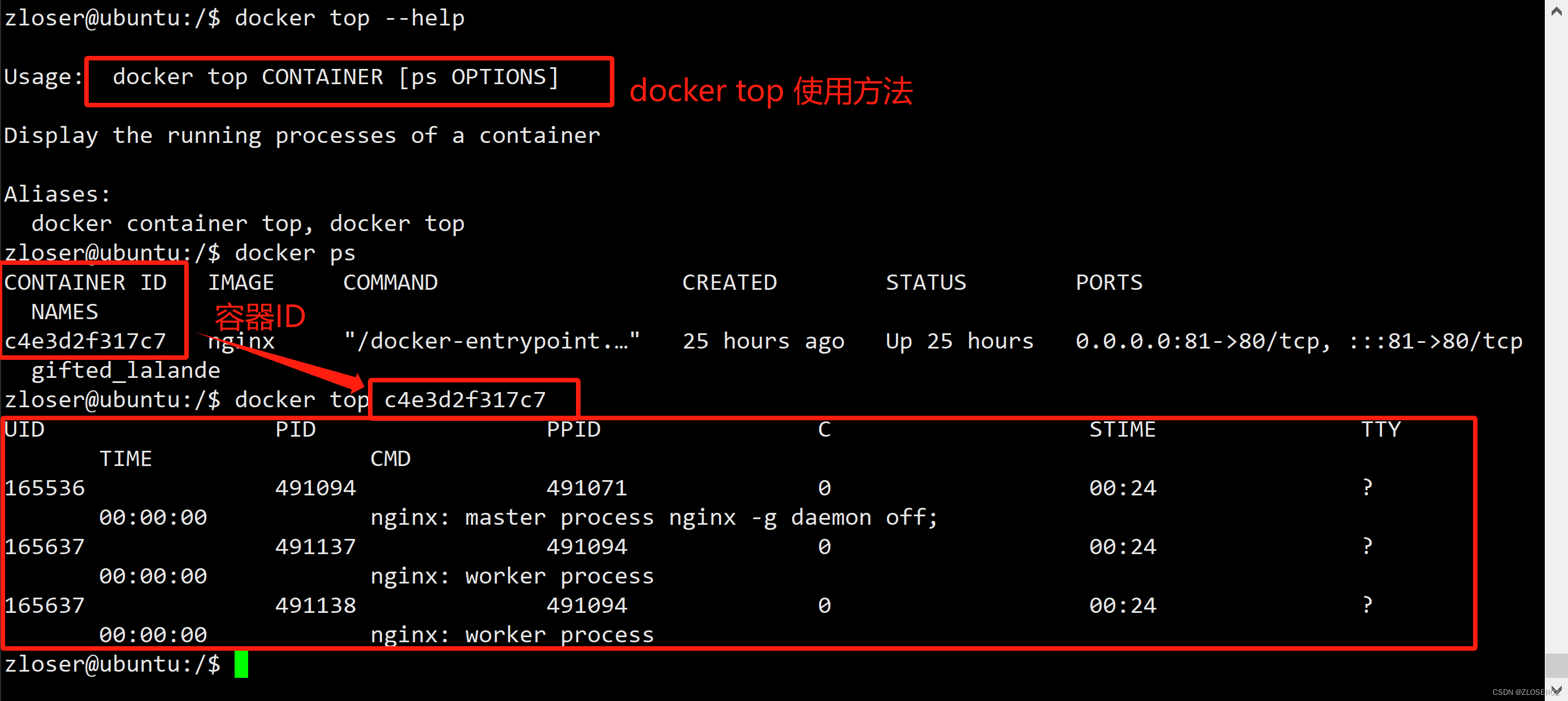 docker容器运维操作命令_docker的exec-opts-CSDN博客