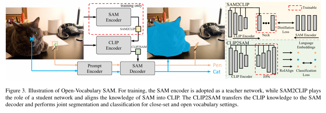 ECCV 2024 | SAM再升级！分割和识别2.2万种类别！OV-SAM：交互式分割和识别22,000 种类别！...-CSDN博客
