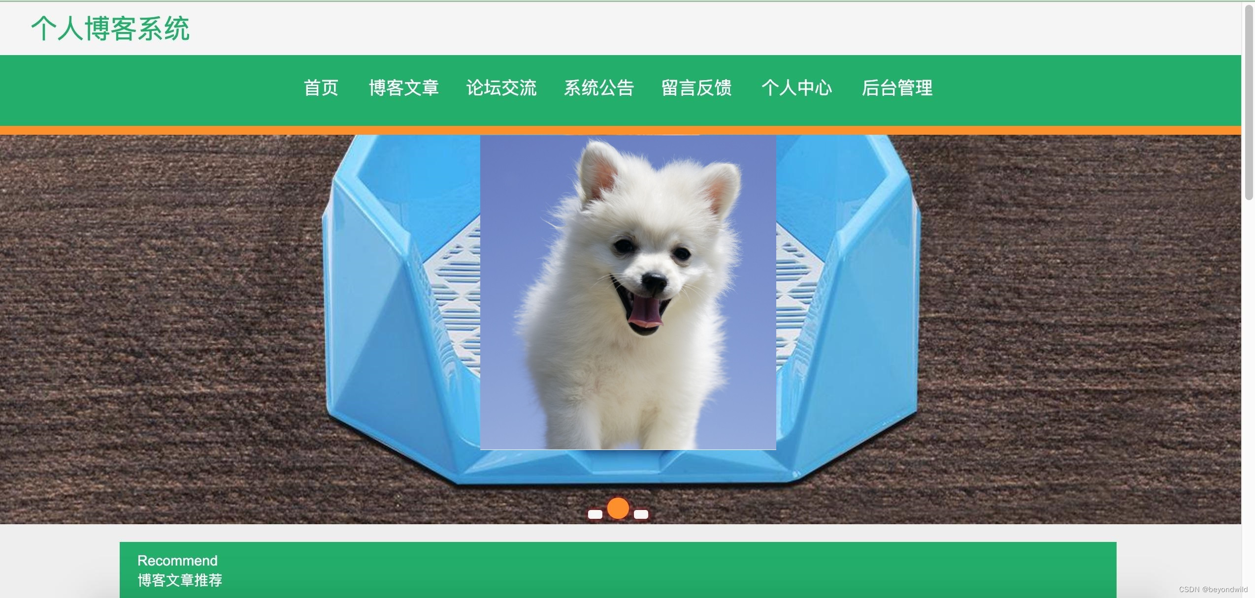 Java项目:博客管理系统(java+SSM+ElementUI+Vue+layui+Mysql)-CSDN博客
