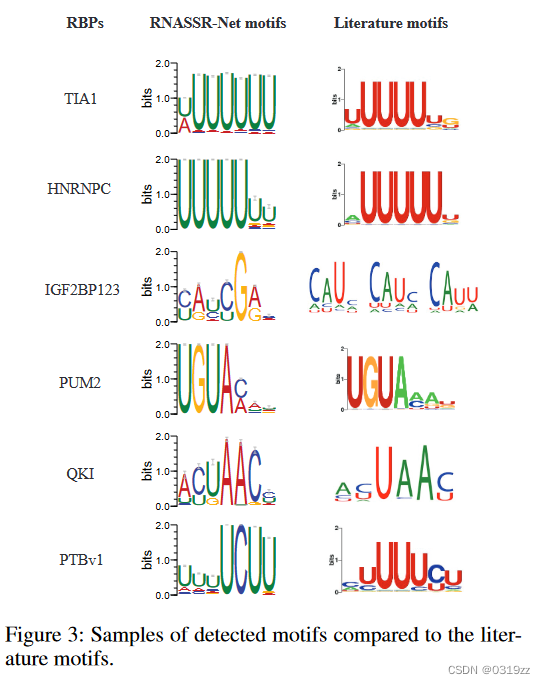RNA Secondary Structure Representation Network for RNA-proteins Binding Prediction_rnassr-CSDN博客