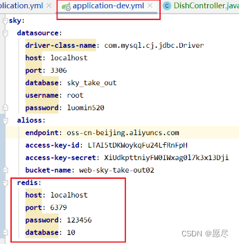 苍穹外卖【Day05】-Redis、店铺营业状态设置-CSDN博客